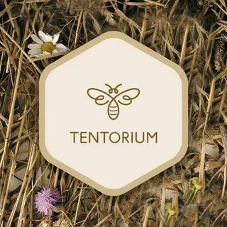 Личный кабинет Tentorium (Тенториум) · регистрация и вход
